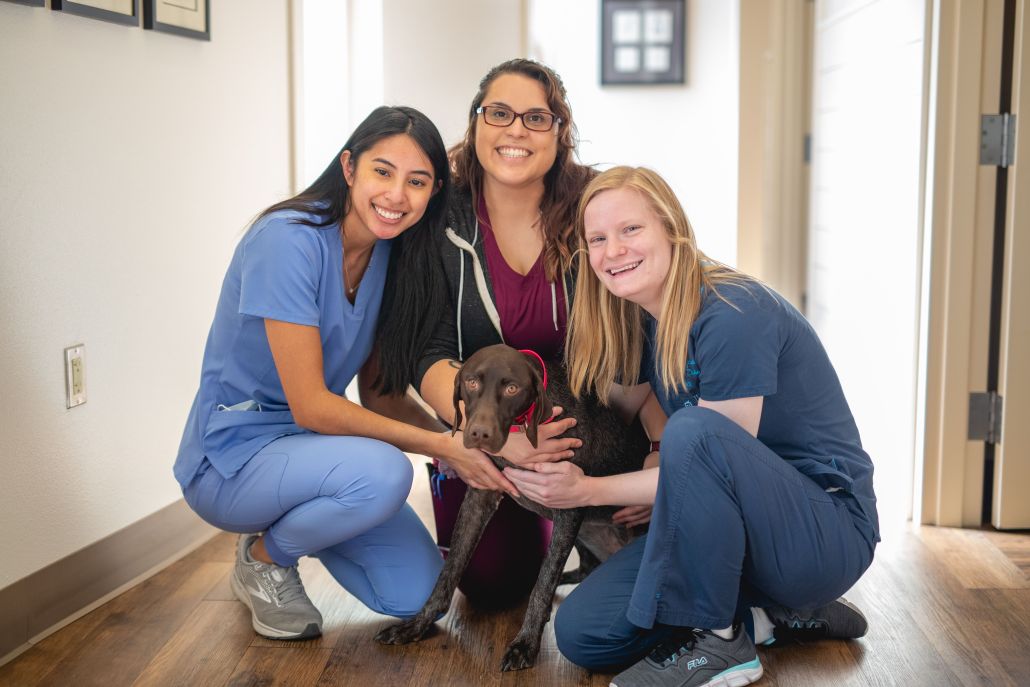 Mission Pet Health | Join Our Veterinary Community
